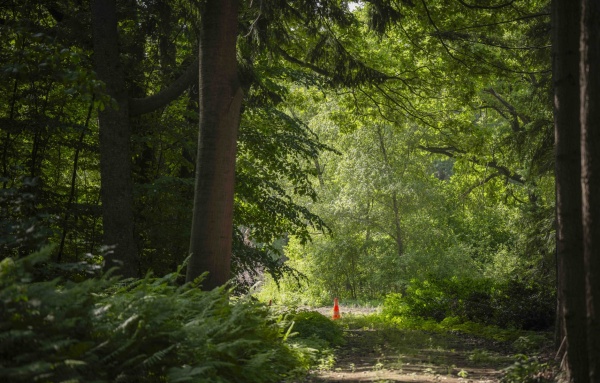 Programma Kijkmiddag Kamp van Zeist op 2 juli | Hart van de Heuvelrug